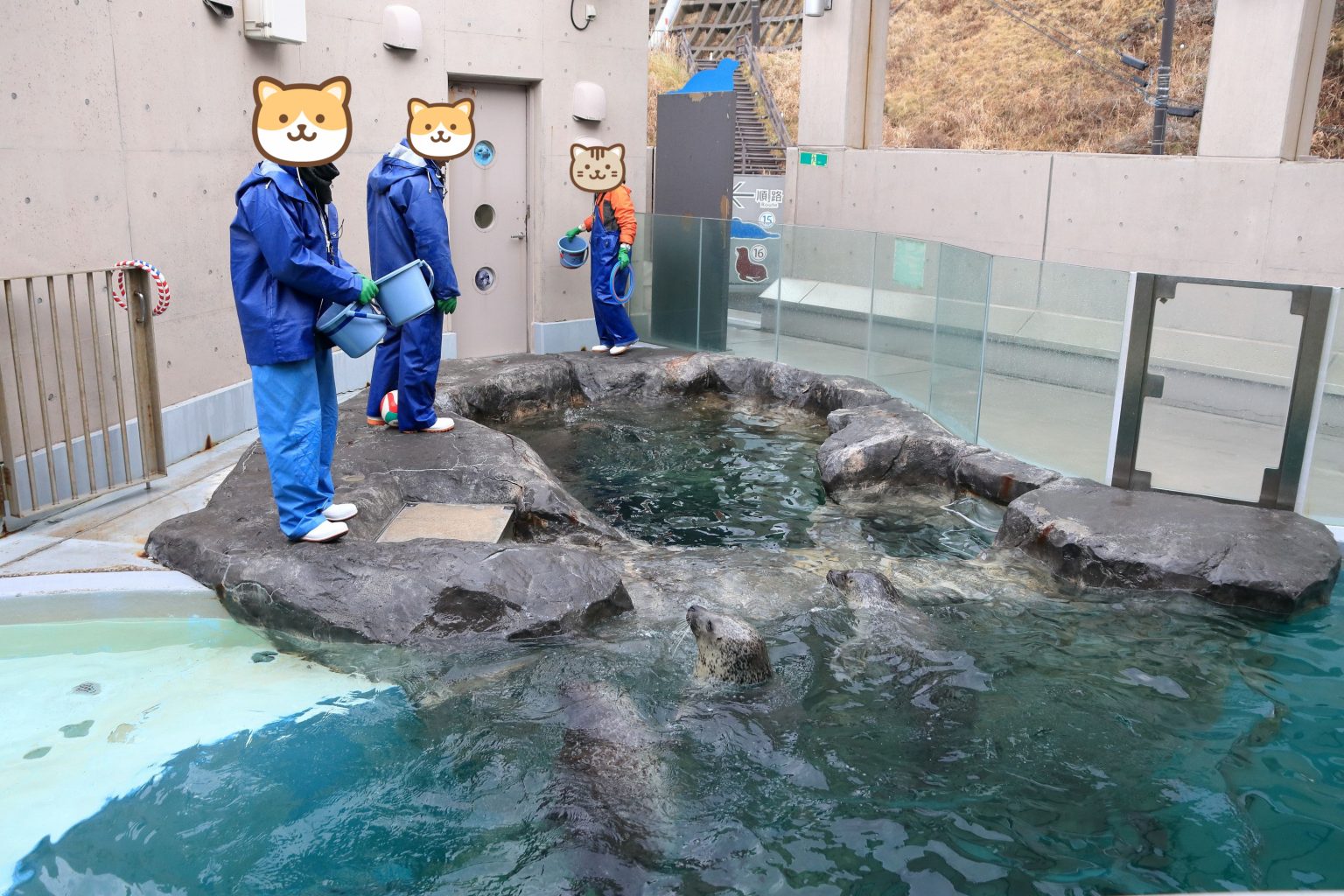 【控え目に言って最高】男鹿水族館GAOに行ってきた（裏側見学ツアーも） | KENGOの気まぐれブログ